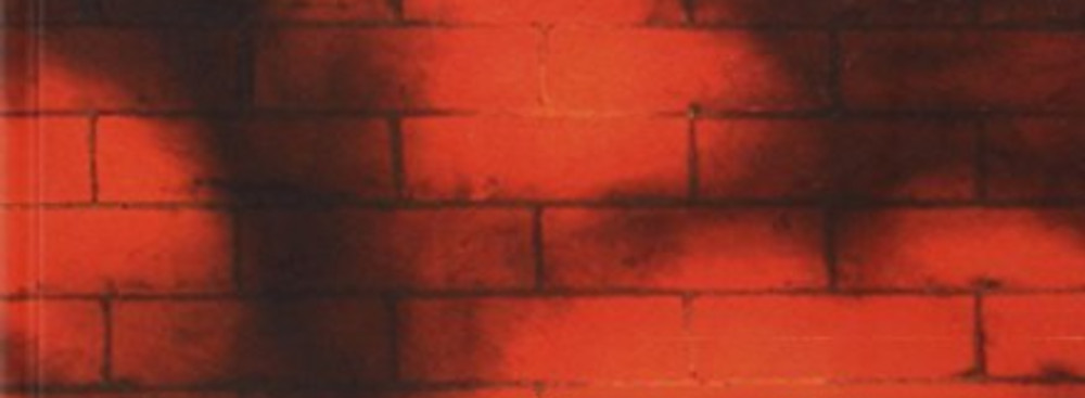 Quick Introduction to Type Theory